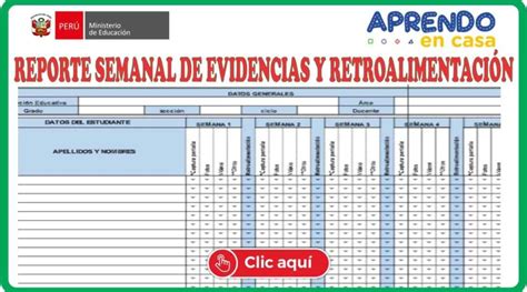 Descarga El Modelo De Reporte Semanal De Evidencias Y Retroalimentacion