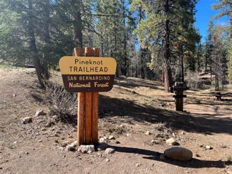 Top Big Bear Lake Hike Pineknot Trail Is A Winner