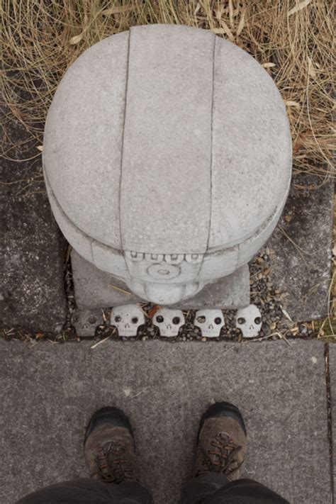 Insane S By Zach Dougherty Album On Imgur