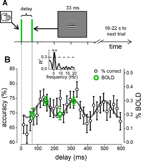 Figure 1 From Predictive Visuo Motor Communication Through Neural Oscillations Semantic Scholar