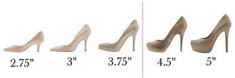 Explaining Edas Height Fandom