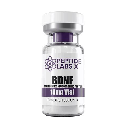 Bdnf Peptide 10mg Peptide Labs X