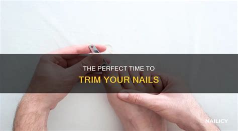 The Perfect Time To Trim Your Nails Nailicy