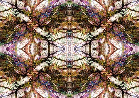 Tree Fractals On Behance