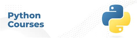 how to choose a programming language to learn 8 criteria to consider