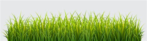 Premium Vector Green Grass Template Set