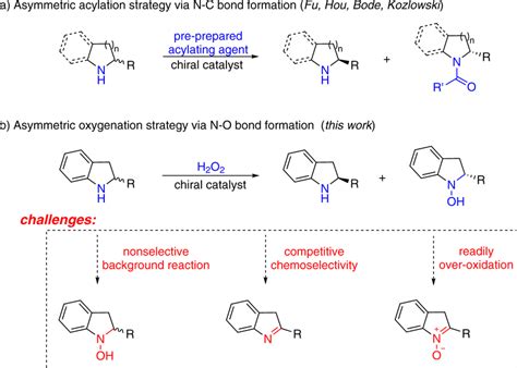Overview Of Kr Of Cyclic Secondary Amines A Asymmetric Acylation Download Scientific Diagram