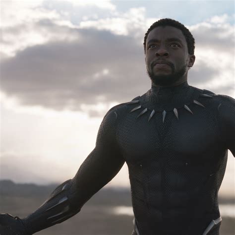 2048x2048 Chadwick Boseman Black Panther Movie Ipad Air Hd 4k