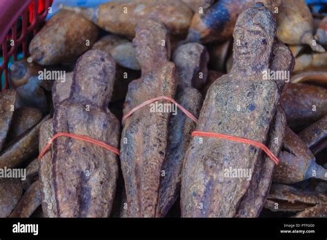 Dried Nariphon Fruits For Sale At The Amulet Market Thailand The Nariphon Also Known As