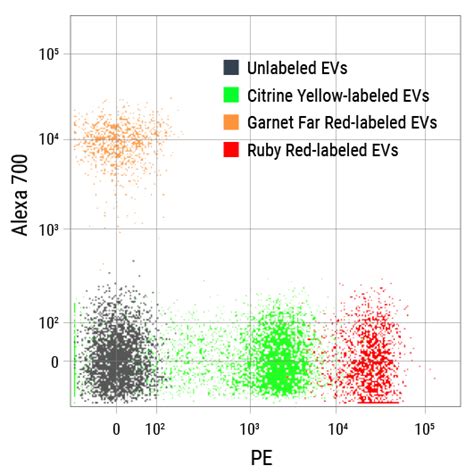 Exosome Detection Products System Biosciences