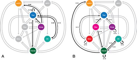 Associations Between Fronto Striato Thalamic Connectivity And Striatal Download Scientific