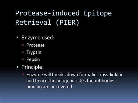 Antigen Retrieval Anatomy