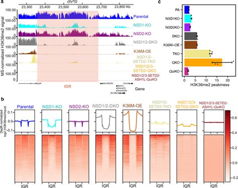 Systematic Perturbations Of Setd2 Nsd1 Nsd2 Nsd3 And Ash1l Reveal