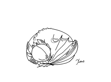 Toothless Sleeping Httyd