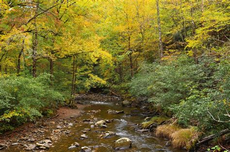 Fires Creek Backcountry Area Peaks Trails And 3d Map Peakvisor