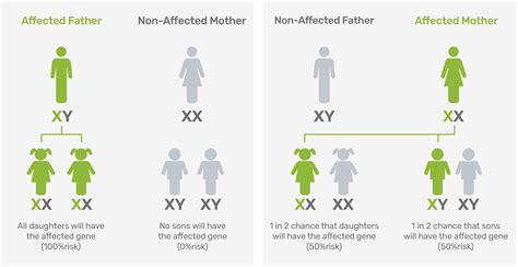 Genetic Inheritance