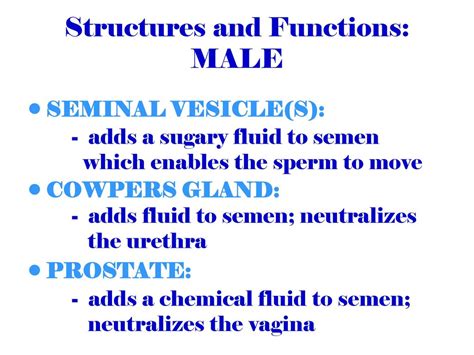 Human Sexuality Ppt Download
