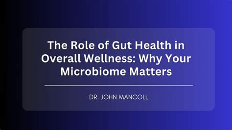 The Role Of Gut Health In Overall Wellness Why Your Microbiome Matters