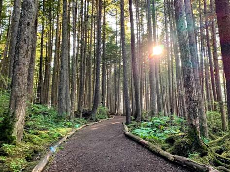 13 Things To Do In Icy Strait Point Alaska
