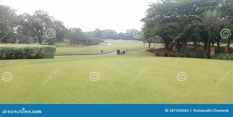 Green Java Peacock Standing At The Water Side Beautiful Colorful Bird