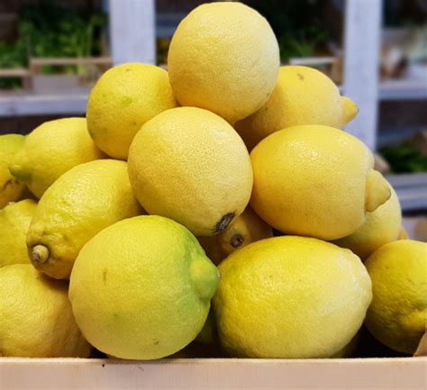 Limoni - La Valle delle Albicocche
