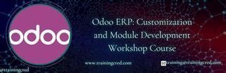 Odoo Erp Customization And Module Development Training Course