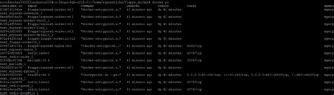 ERPNExt Install Via Docker Running But No Response Deployment Frappe Forum