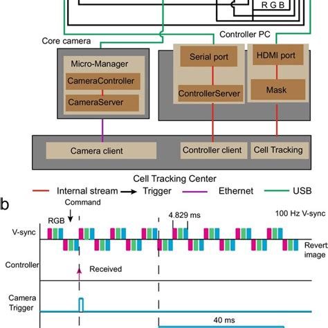 An Adaptive Tracking Illumination System For Optogenetic Control Of Single Bacterial Cells