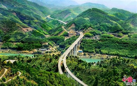 临沧临翔：以茶为 媒” 带活一方山水 关注森林