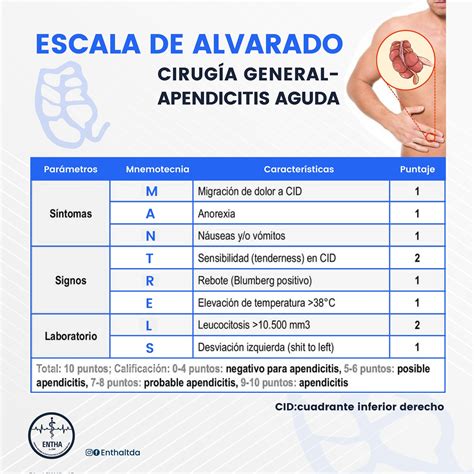 Apendicitis Aguda Clasificación Diagnóstico Y Tratamiento Locodr