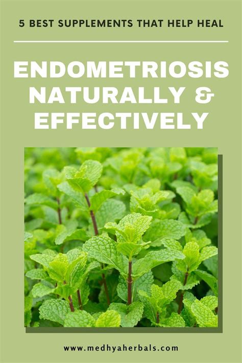 Endometriosis And Fertility Artofit