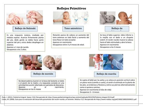 Los Reflejos Primitivos Y El Aprendizaje — Neuro Crece Pnswg