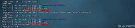 linux后台运行jar包，nohup、＞、and csdn博客