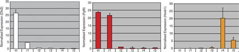 proof of concept microarray expression profiles of key mid hindbrain