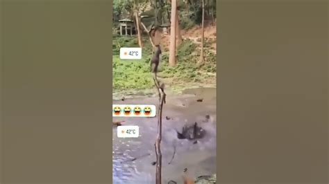 ইস কি গরম কি গরম দিয়েছে আল্লাহ কোনো জায়গা ঠান্ডা নাই ঠান্ডার মা মোরে গিয়েছে গরমের মা মরে