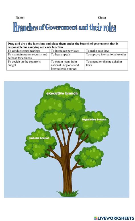 Three Branches Of Government Tree Worksheet