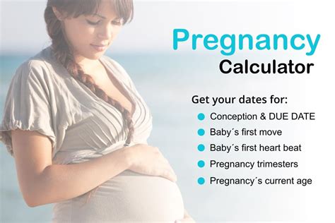 Pregnancy Calculator Conception Date At Louise Costa Blog