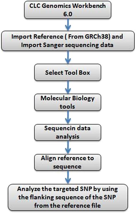 Snp Validation Workflow Using Clc Genomics Workbench Download