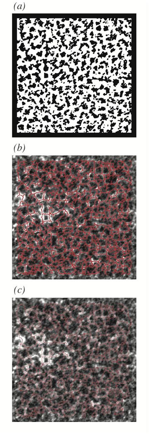 online three steps in the skeletonization process the binary