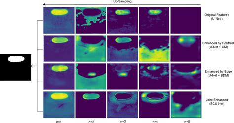Visualization Of The Features After Skip Connection Where N Represents Download Scientific