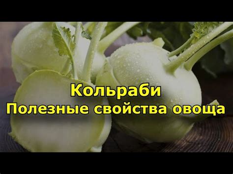 Кольраби польза и вред состав продукта пищевая ценность кольраби