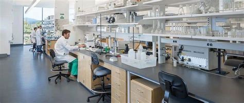 厉害了这篇Nature作者仅两人第一作者用中文署名 合成 虚拟 实验