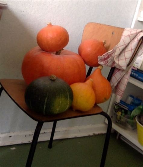 Erotic Vegetables And Failure