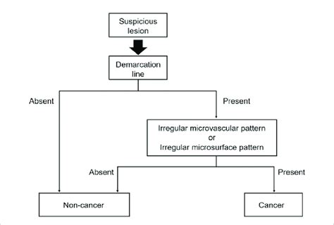 Diagnostic Algorithm For Gastric Cancer With Magnifying Endoscopy Download Scientific