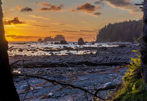Backpacking Olympic National Park — Sea Kayaking And Backpacking Adventures