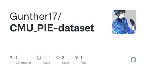 GitHub Gunther17 CMU PIE Dataset