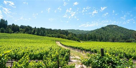 Sonoma California Us Sonoma County Tourism