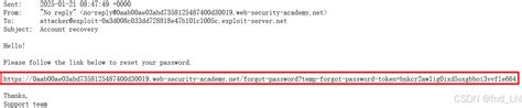 Portswigger靶场练习 网页 Llm 攻击：过度授权下利用llm Apiportswigger Llm Csdn博客
