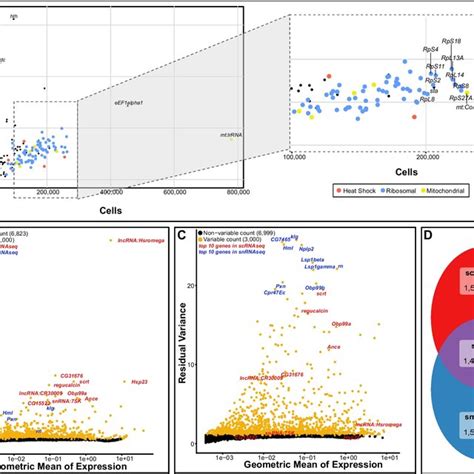 Direct Comparison Of Scrnaseq And Snrnaseq Datasets On The Level Of