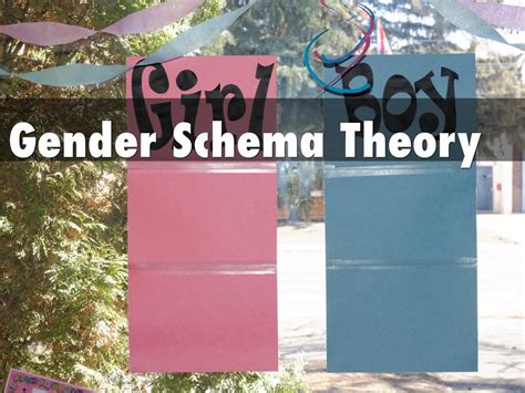 Gender Schema Theory By Sean Quinn